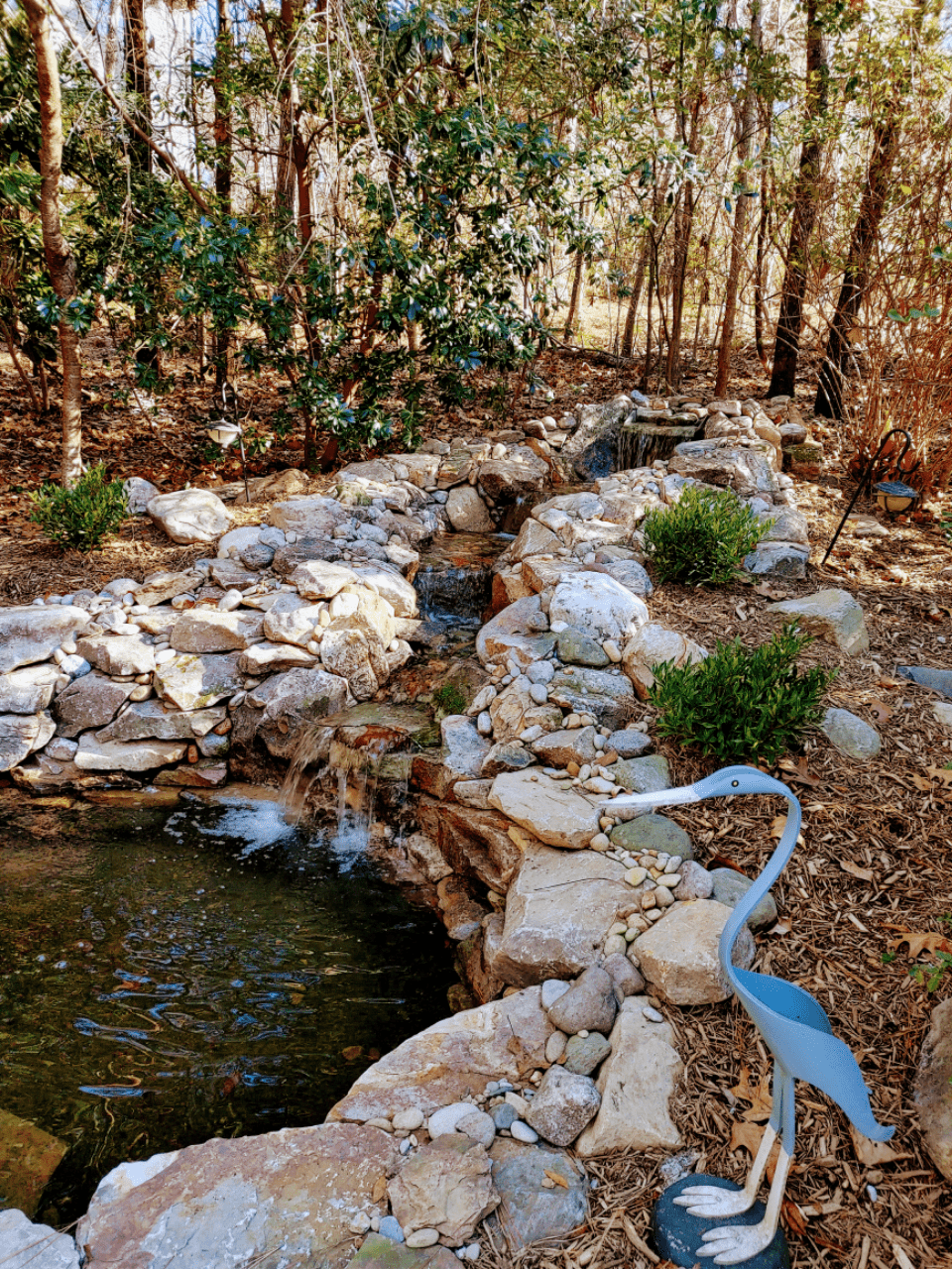 STAR RIDGE AQUATICS – JOE GRANATO - All Things Moore County